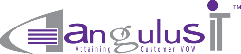Angulus IT Services || Attaining Customer WOW!!